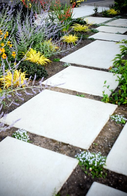 Division - Contemporain - Jardin - Portland - par Fusion Landscape ...