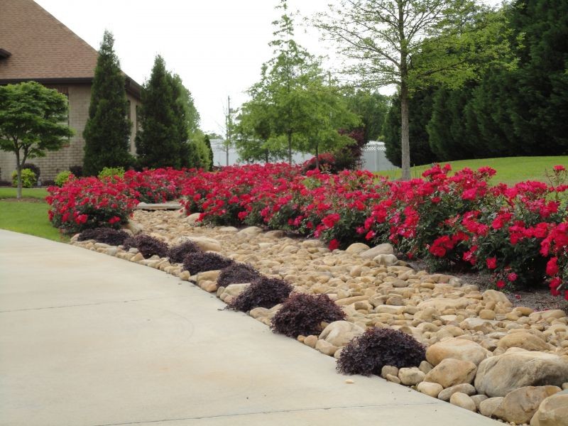 Drainage and Erosion Control - Traditional - Landscape - Birmingham ...