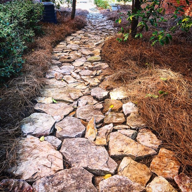 Drainage Solution/Parking Area/ Sod/Straw - Traditional - Landscape ...
