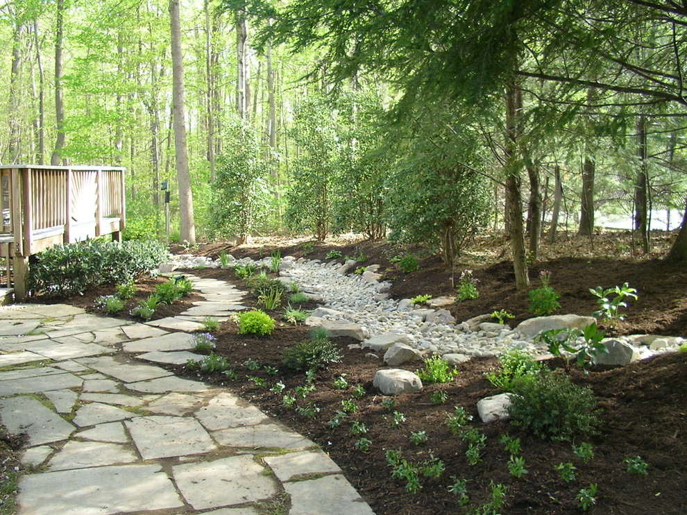 Drainage Solutions - Traditional - Landscape - DC Metro - by Sunrise ...