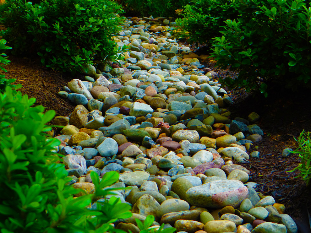 Drainage with Color - Traditional - Landscape - DC Metro - by Campbell ...