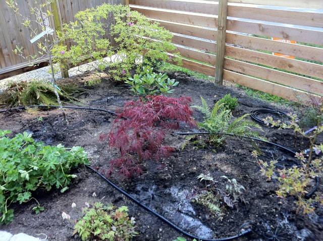 Drip irrigation - Traditional - Garden - Vancouver - by SOM Land Design ...