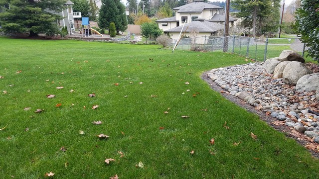 Driveable Grass for Permeable Driveway - Garden - Seattle - by Hedahl ...