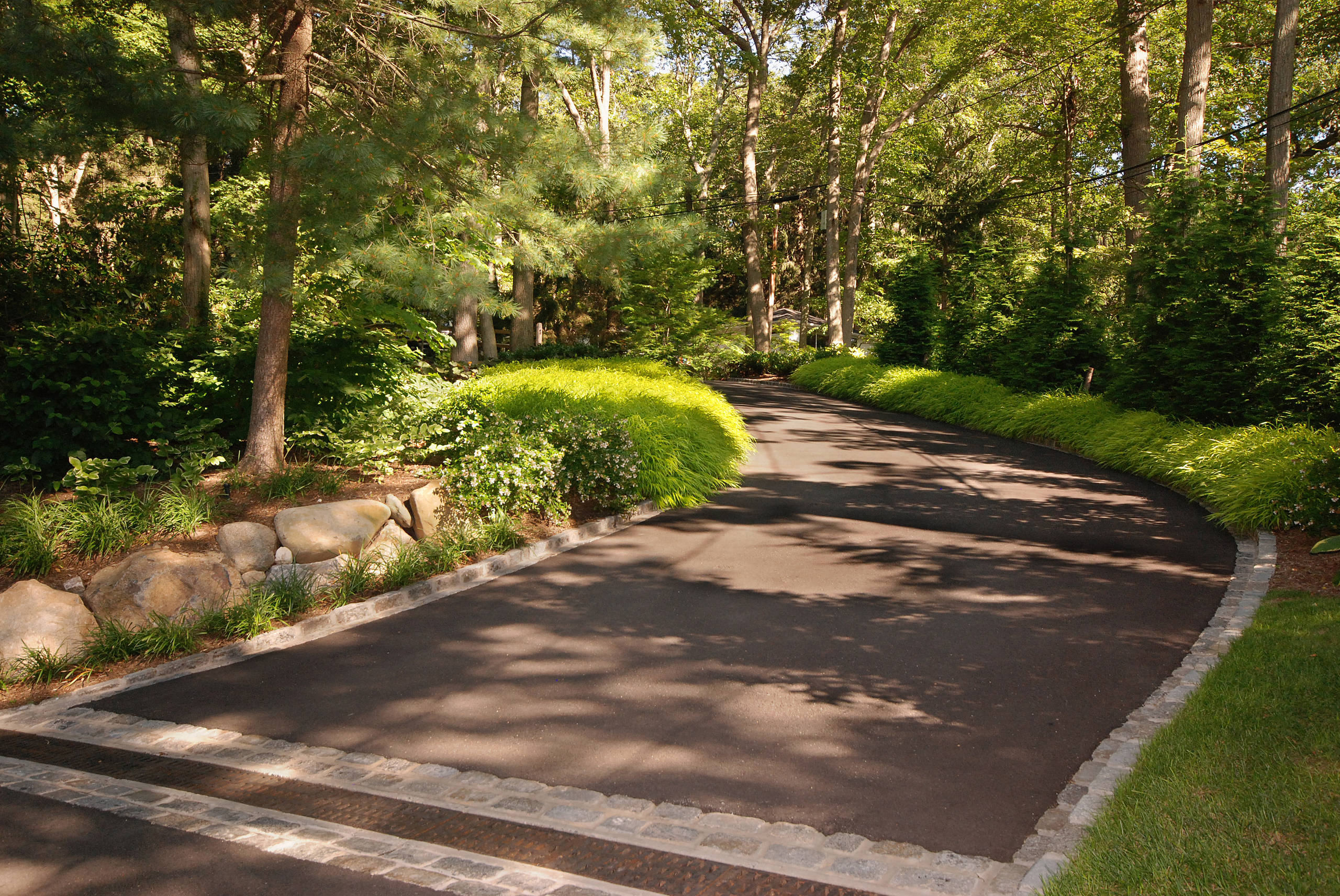 A Long Wooded Driveway Landscaping