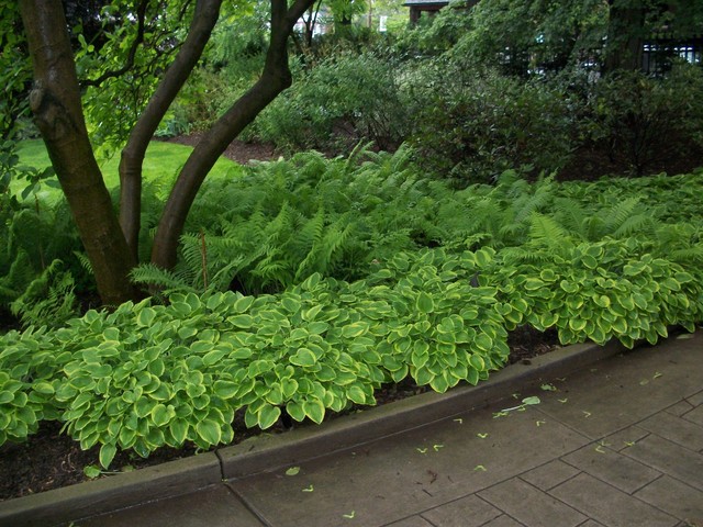 Driveway Entry Planting - Traditional - Garden - Other - by Eisler ...