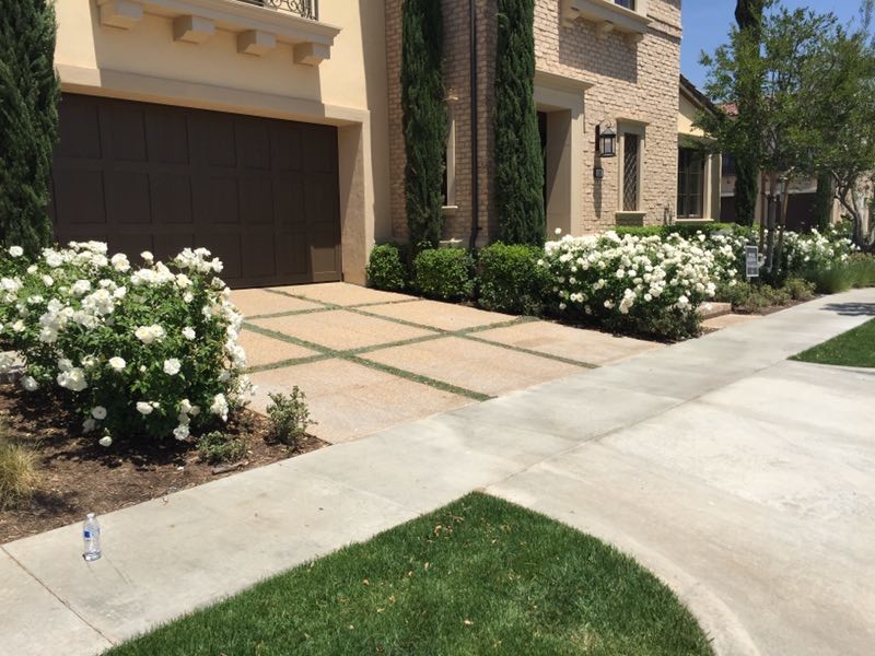 driveway - Traditional - Landscape - Los Angeles - by L.I.U. Landscape ...