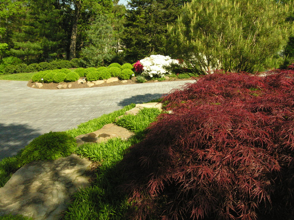 Driveway plantings for Japanese-style home - Asian - Landscape ...