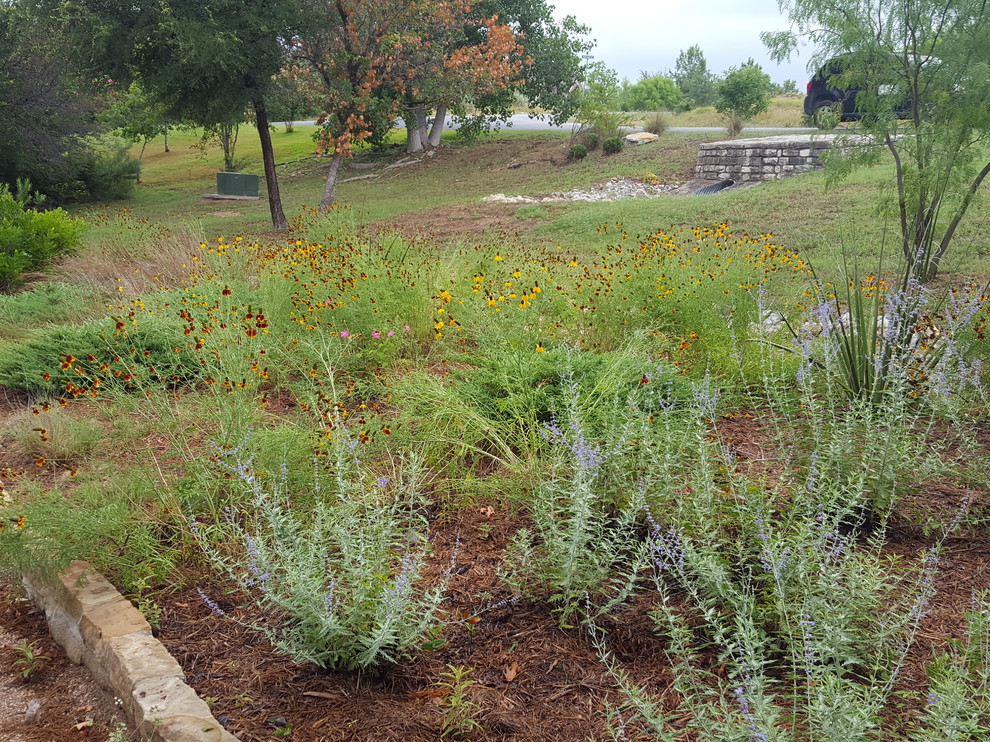 Drought tolerant and wildlife friendly front yard transformation ...