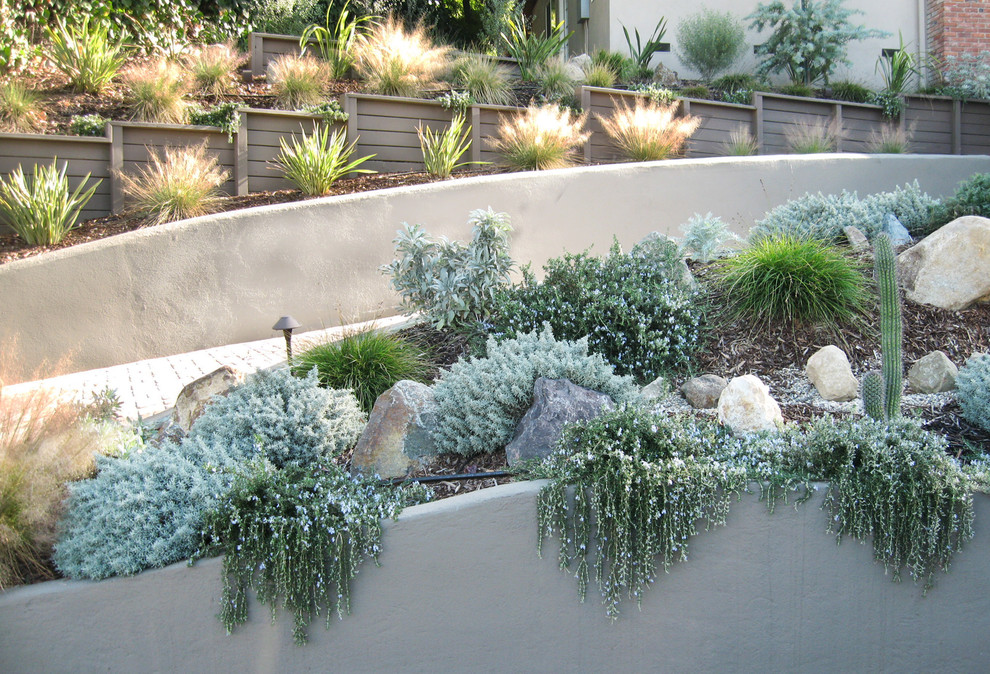 Drought Tolerant Entry Slopes - Contemporary - Landscape - Los Angeles ...