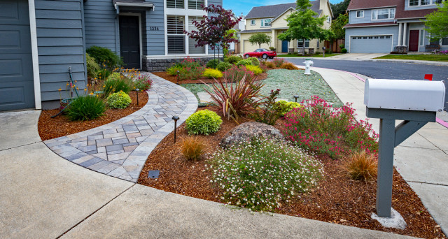 Drought-tolerant front yard - Eclectic - Garden - San Francisco - by ...