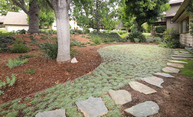 Drought Tolerant Ground Cover - Garden - Los Angeles - by Picture Build ...