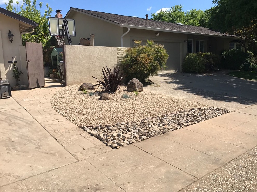 Drought Tolerant Landscape "Zero Scape" - Landscape - San Francisco ...