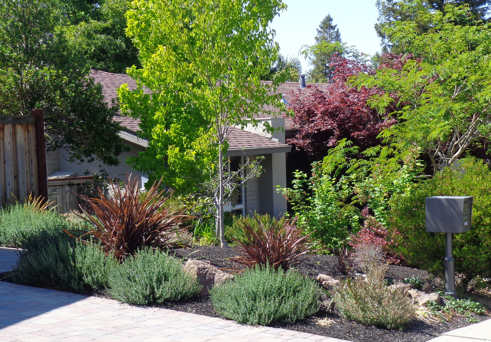 Drought Tolerant Low Maintenance Landscapes - Mediterranean - Landscape ...