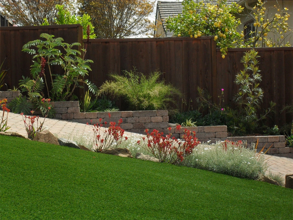 Drought tolerant, low water use front yard - Contemporary - Landscape ...
