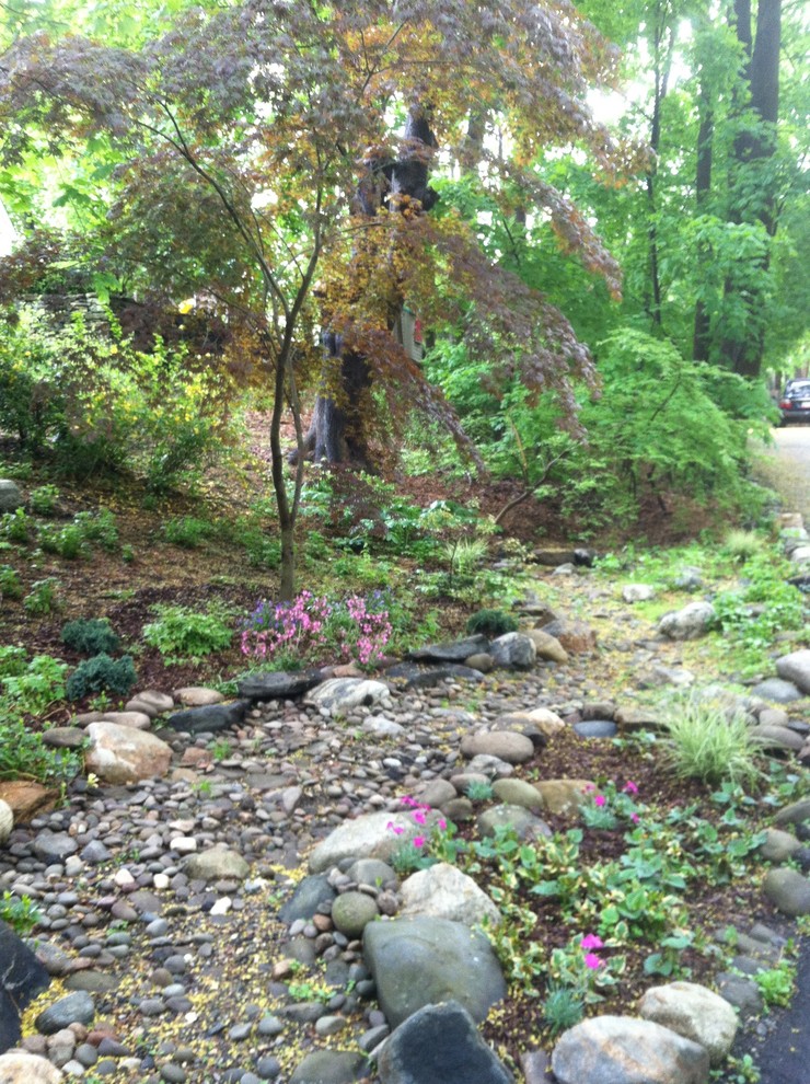 Dry stream garden - Transitional - Landscape - New York - by Pierce ...