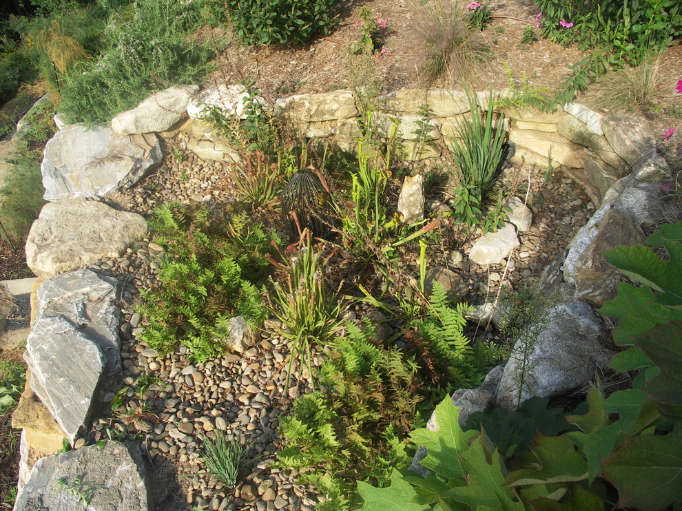 Dry Streams, Rain Gardens and Bog Gardens - Eclectic - Landscape ...