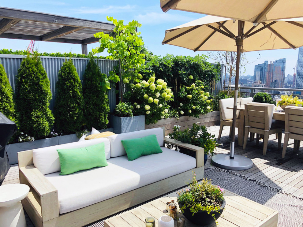 DUMBO ROOF GARDEN MAKEOVER - Contemporary - Landscape - New York - by ...