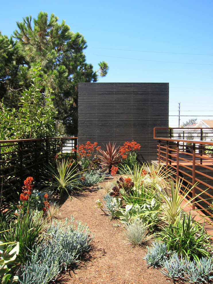 Dwell Home Venice - Contemporary - Landscape - Los Angeles - by Kiesel ...