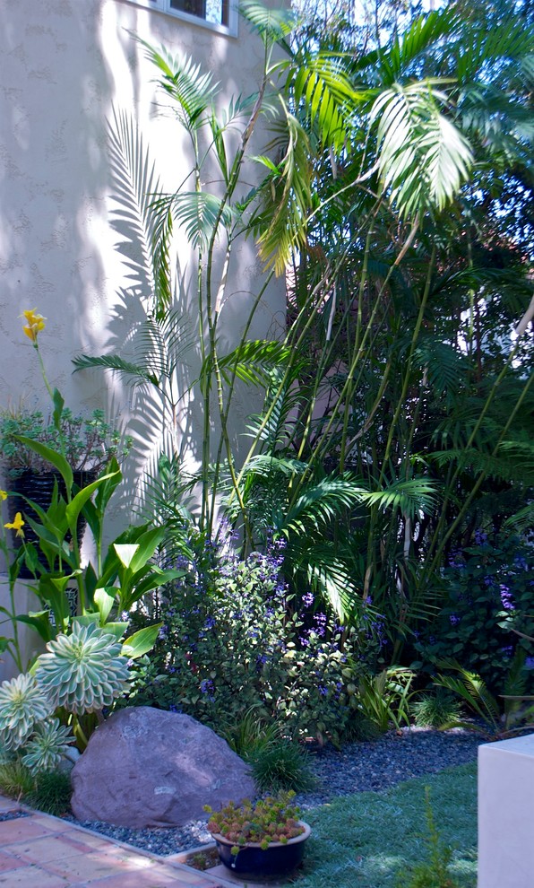 Dymondia Grass and Mexican Beach Stone ground cover - Contemporary ...