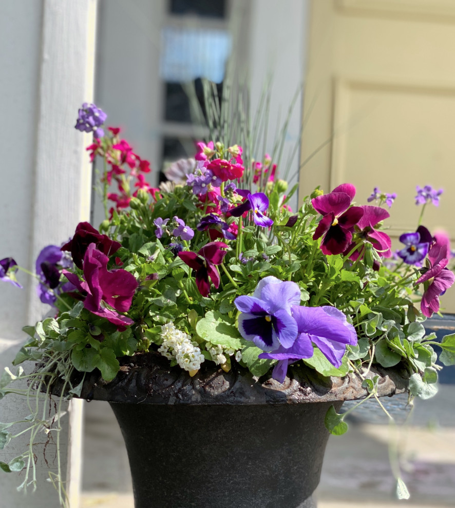 Early Spring Containers - Landscape - New York - by The Inspired Garden ...