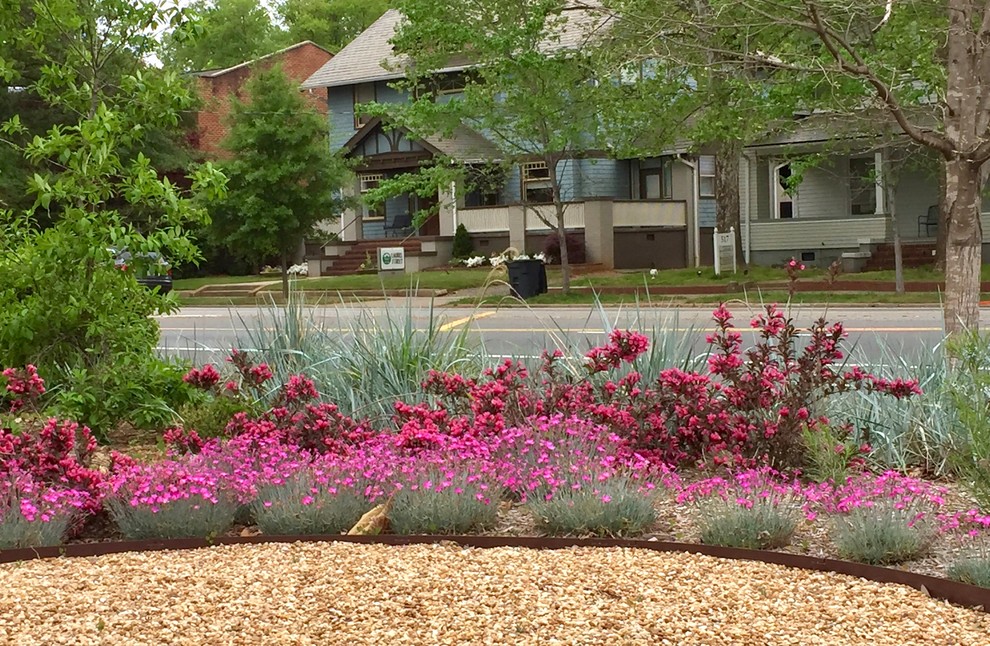 East Blvd. Victorian Reno. - Traditional - Landscape - Charlotte - by ...
