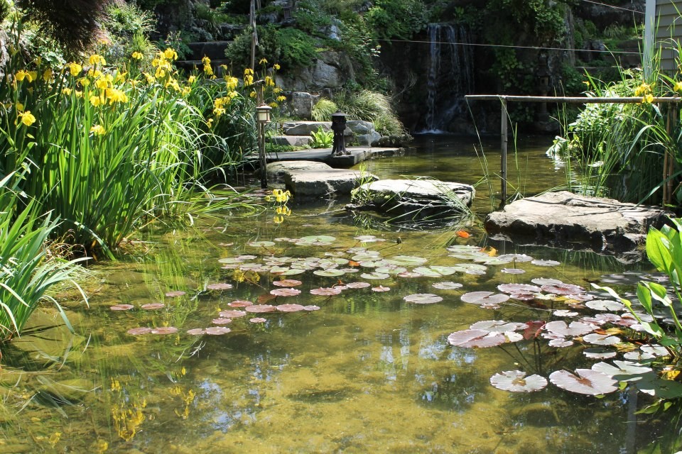 East Norwich Long Island Waterfall and Pond - Traditional - Landscape ...