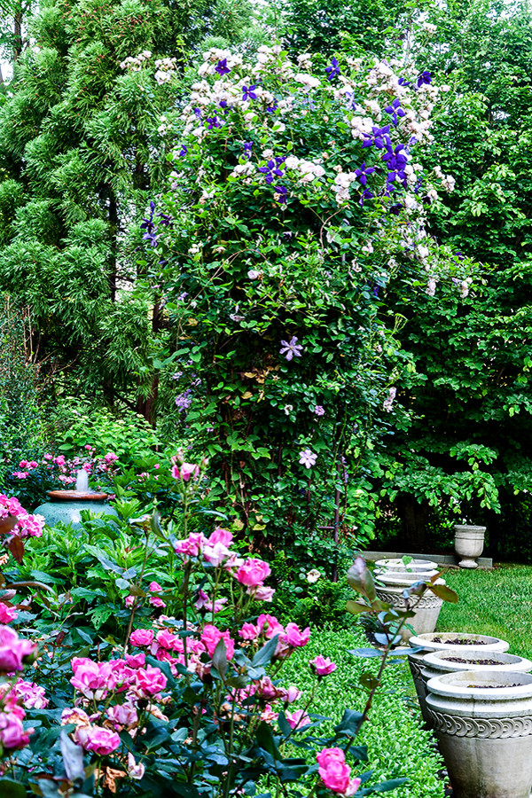 Eclectic Backyard Garden - Traditional - Landscape - DC Metro - by ...