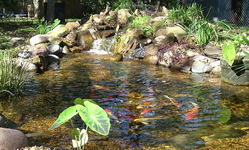 Ecosystem Ponds, Water Garden Ideas for Your Austin, Central Texas ...