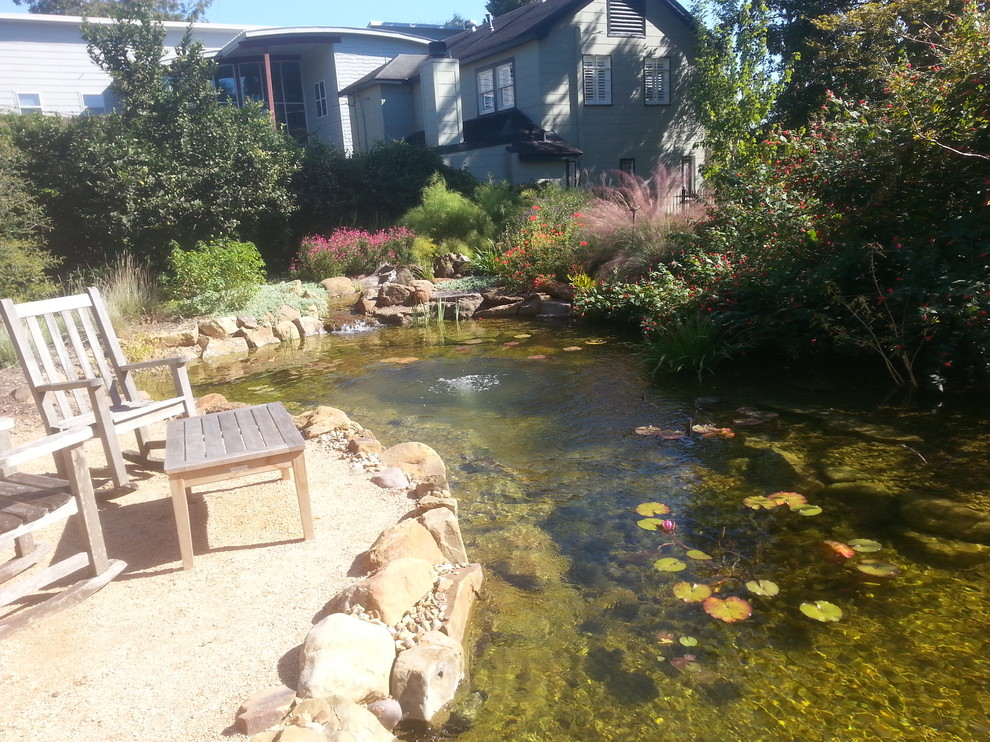 Ecosystem Ponds, Water Garden Ideas for Your Austin, Central Texas ...