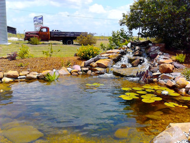 Ecosystem Ponds, Water Garden Ideas for Your Austin, Central Texas ...