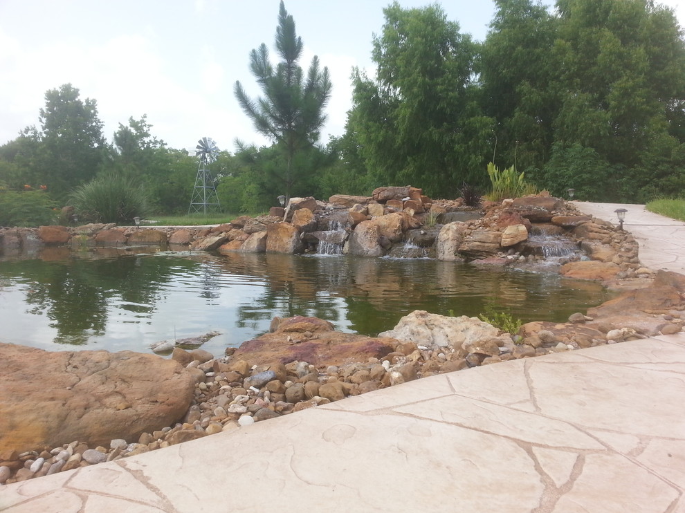 Ecosystem Ponds, Water Garden Ideas for Your Austin, Central Texas ...