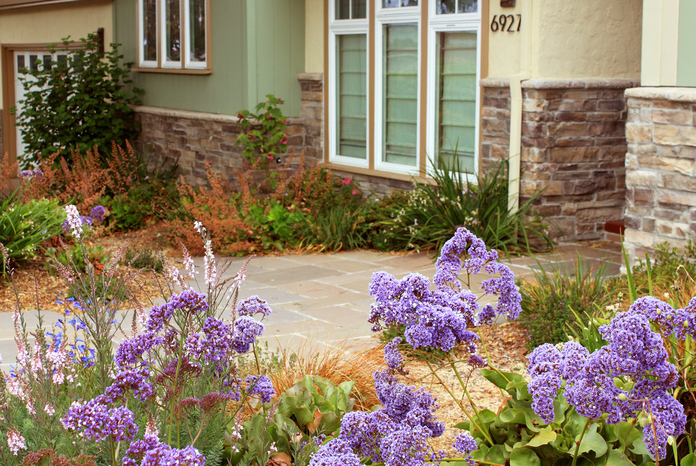 El Cerrito Front Yard - Traditional - Landscape - San Francisco - by ...