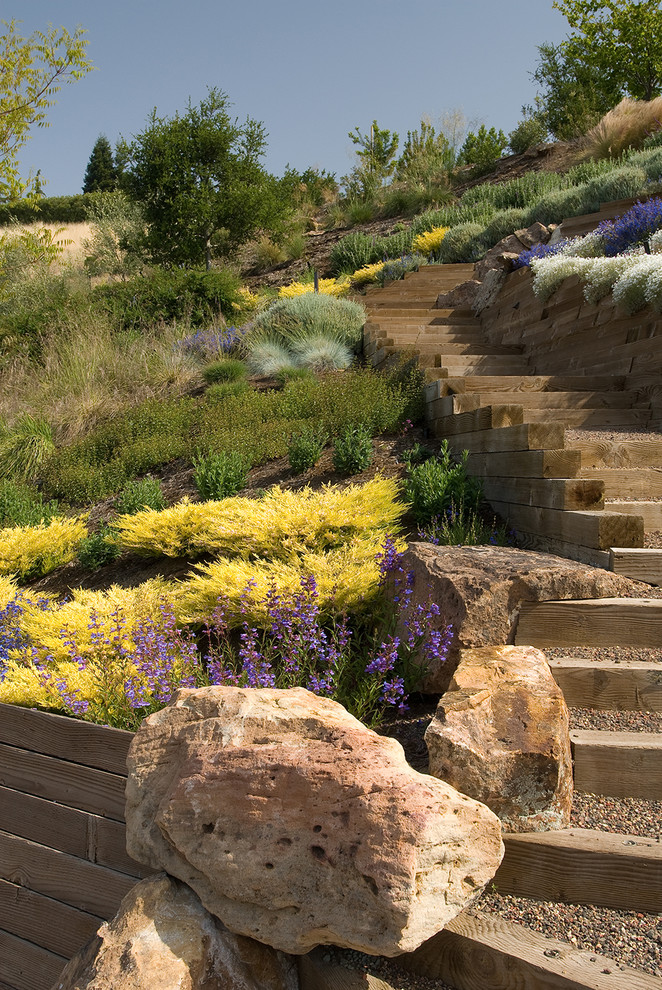 Embracing the Landscape - Transitional - Landscape - San Francisco - by ...