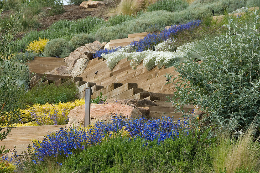 Embracing the Landscape - Transitional - Landscape - San Francisco - by ...