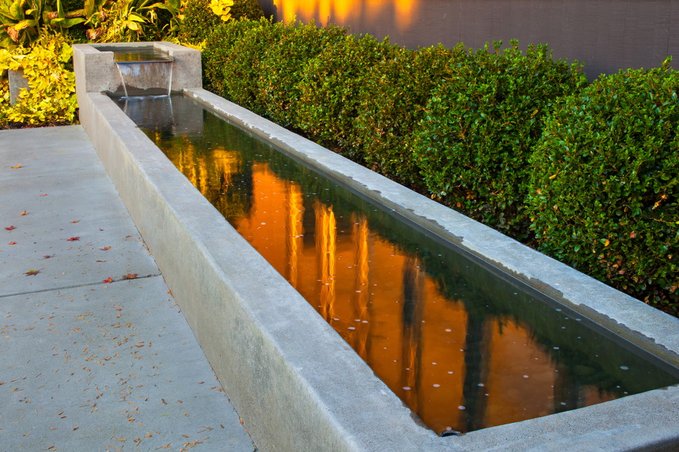Engelhard Residence - Courtyard Water Feature - Contemporary - Garden ...