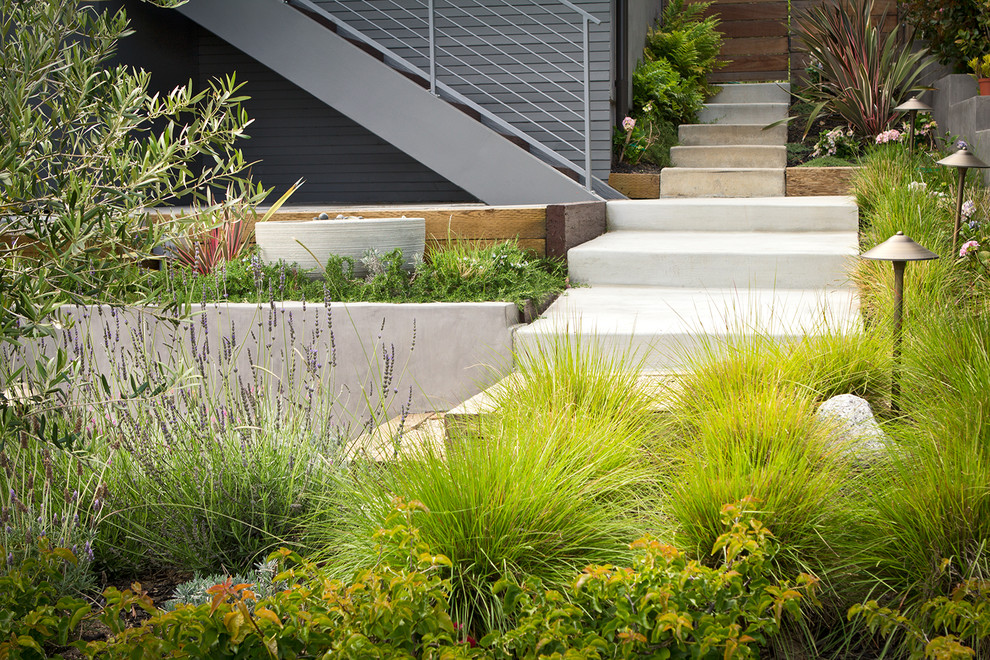 Entrance Steps-Entrance - Contemporary - Landscape - Los Angeles - by ...