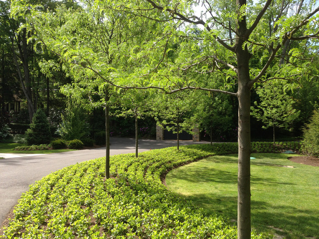 Entry Drive Planting - Classique - Jardin - Cleveland - par LWB Design ...