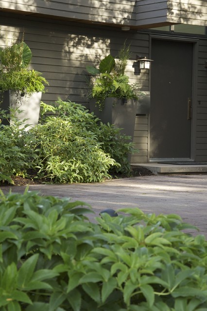 Entry Garden - Feature Planters And Seasonal Display - Contemporary ...
