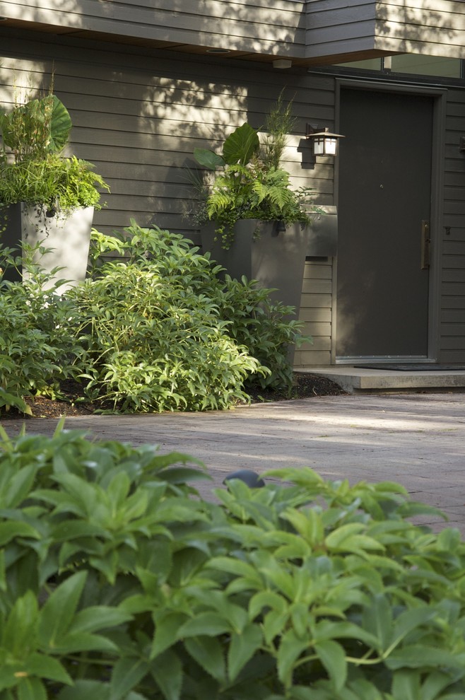 Entry Garden - Feature Planters And Seasonal Display - Contemporáneo ...