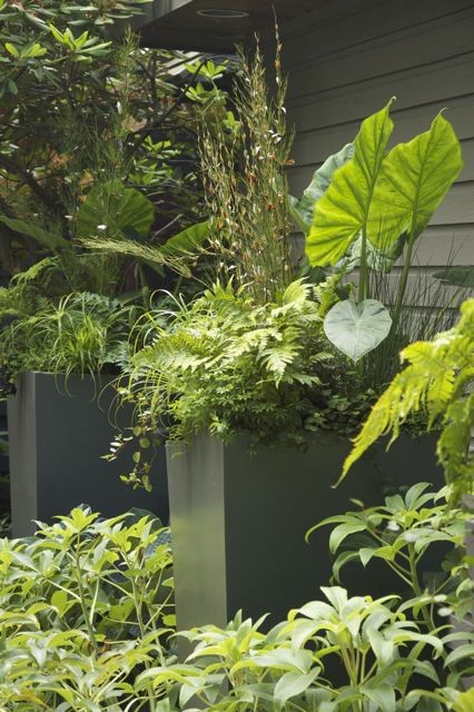 Entry Garden - Feature Planters and Seasonal Display - Eclectic ...