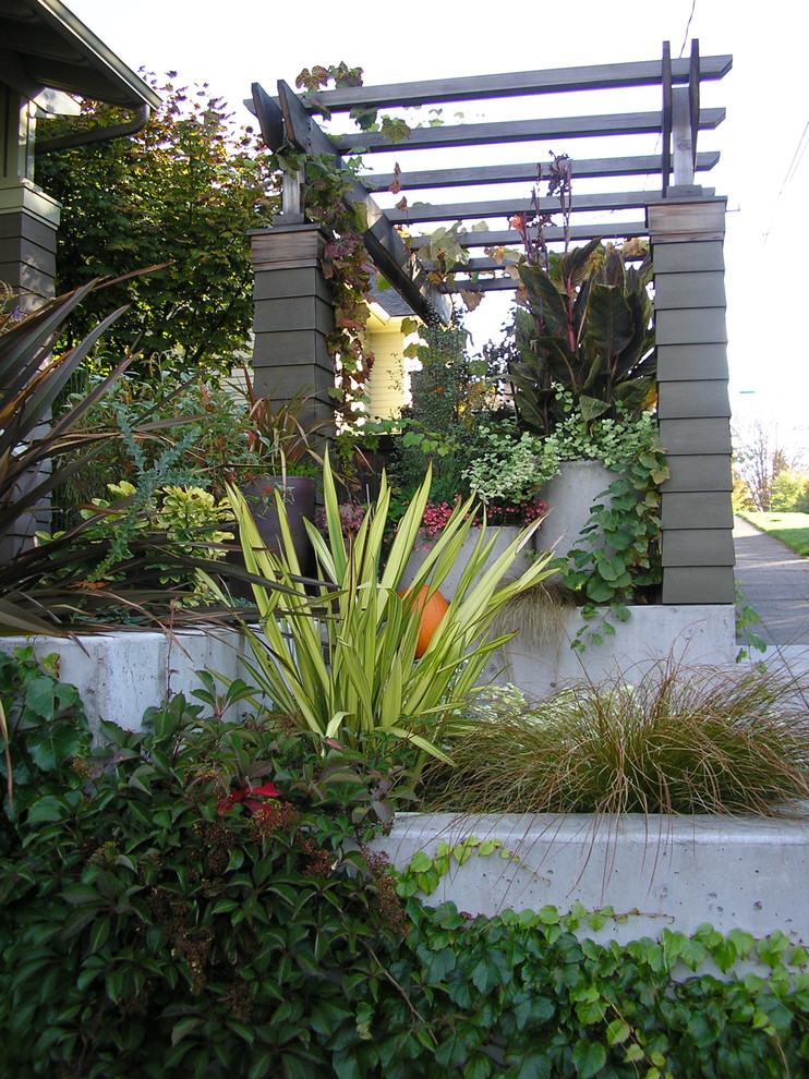 entry garden - Contemporary - Landscape - Seattle - by Virginia Hand ...