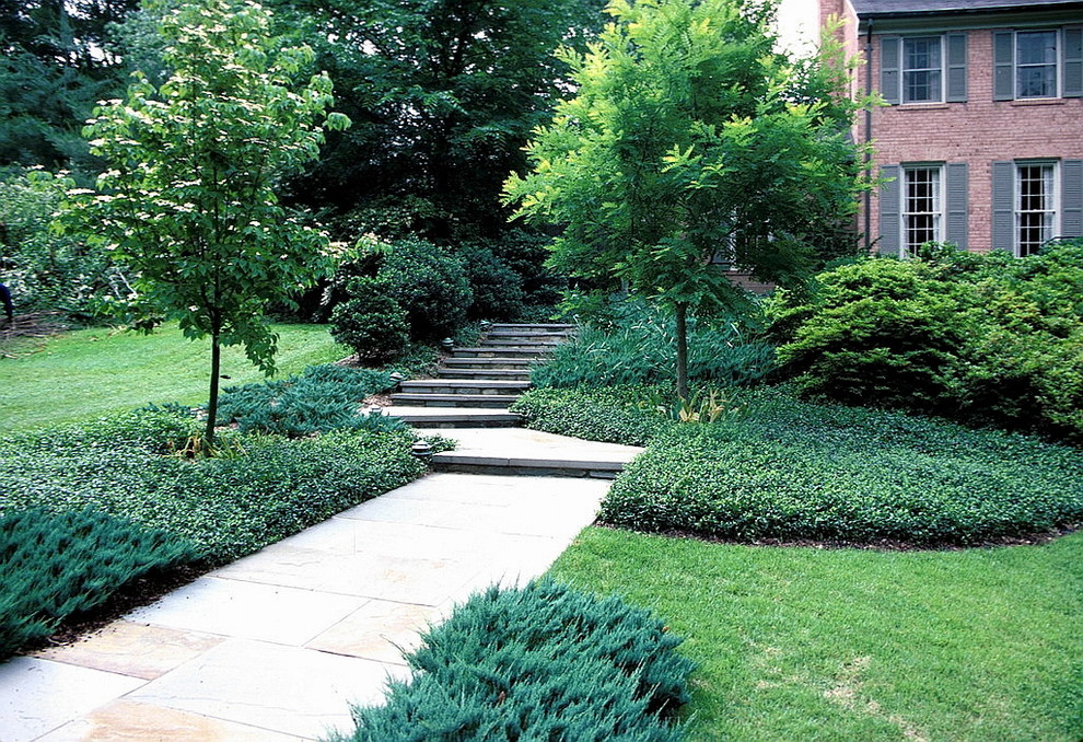 Entry Gardens - Transitional - Landscape - DC Metro - by Garden Gate ...