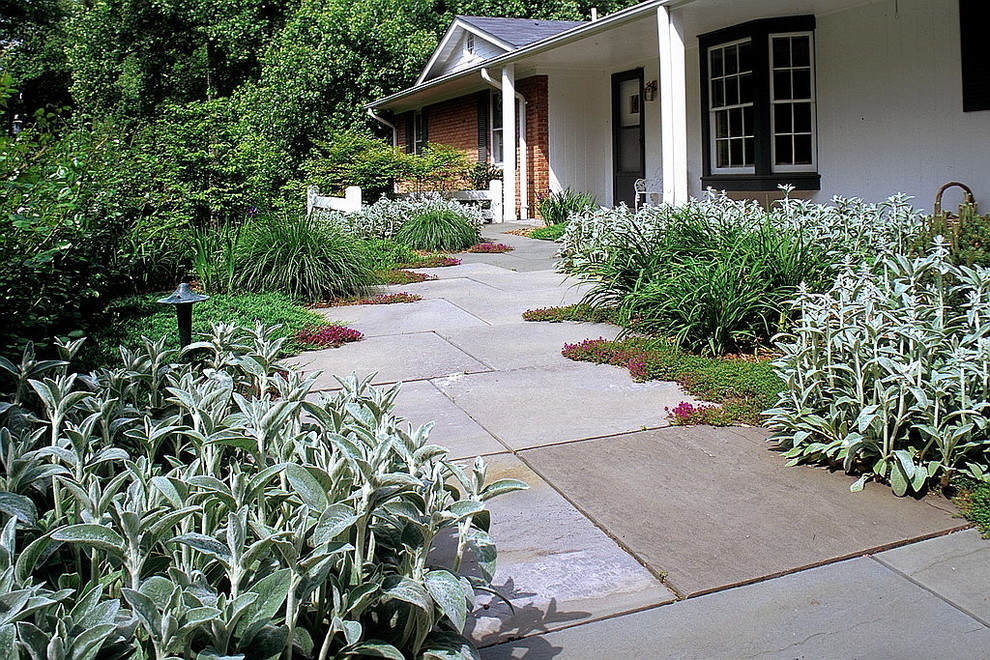 Entry Gardens - Contemporary - Landscape - DC Metro - by Garden Gate ...