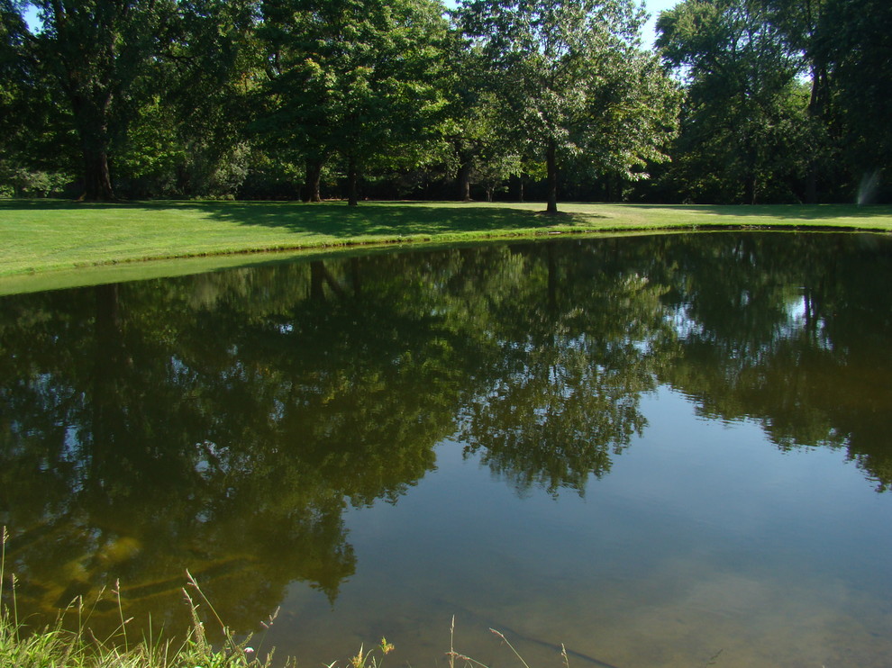 Estate Pond - Traditional - Landscape - Chicago - by Reflections Water ...