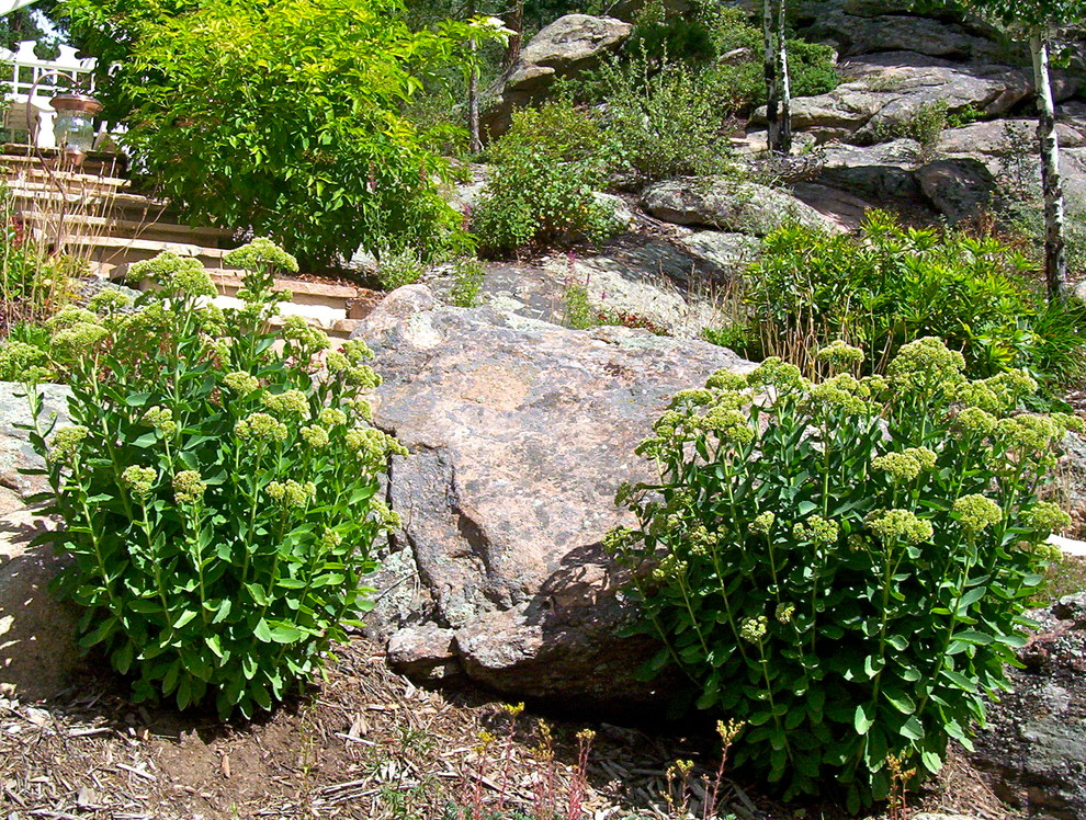 Extensive European Style Home - Mediterranean - Landscape - Denver - by ...