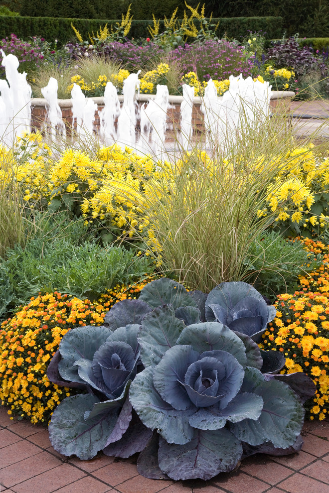 Fall Annuals - Traditional - Landscape - Chicago - by Craig Bergmann ...