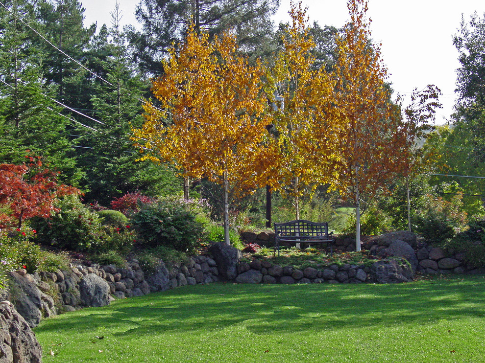 Fall Color - Rustic - Landscape - San Francisco - by Alderland - SF Bay ...