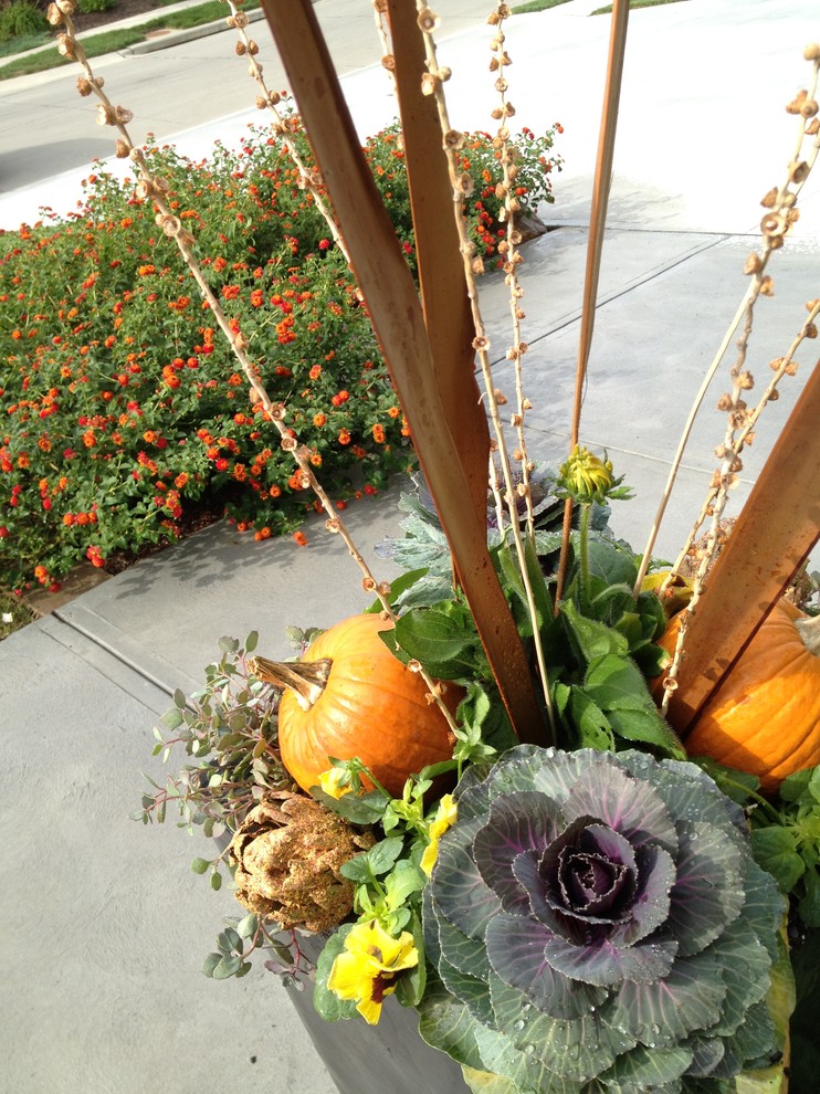 Fall Containers - Farmhouse - Landscape - Omaha - by Greenlife Gardens ...