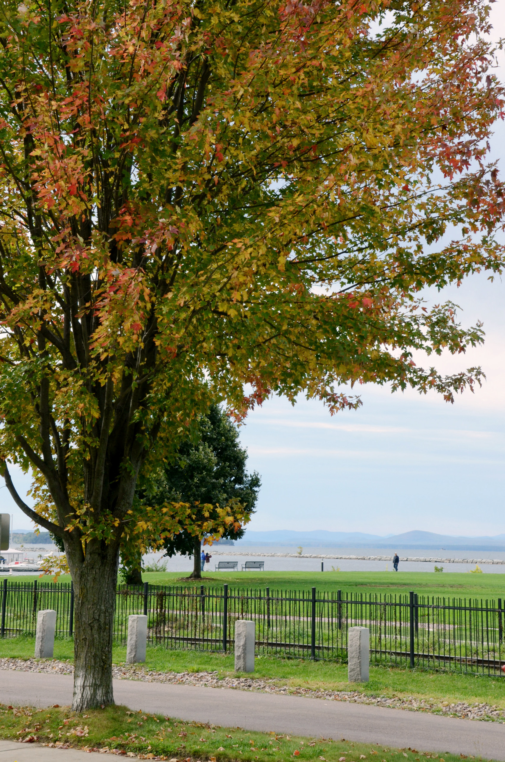Fall Foliage Tour: Leaf-Peeping Fun Through Vermont