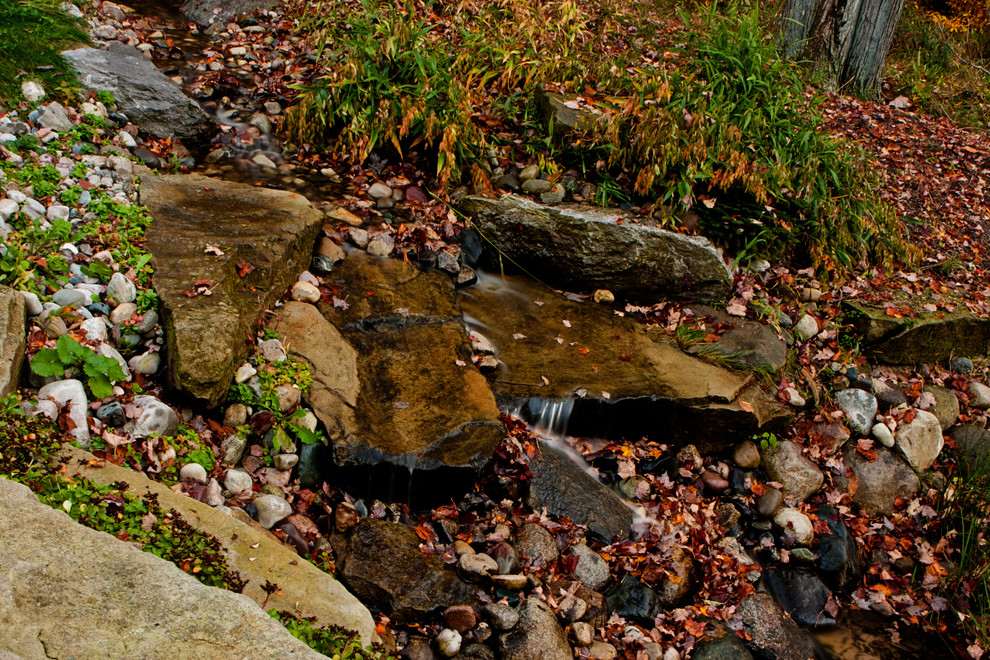 Fall Landscape - Traditional - Landscape - Grand Rapids - by Blue Ridge ...